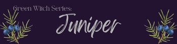 Magickal Properties Of Juniper – Curious Cauldron